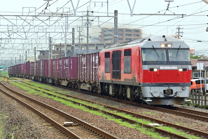 JR貨物 DF200形ディーゼル機関車 DF200-201 弥富駅 (JR) 鉄道フォト・写真 by マンボーグレイさん | レイルラボ ...