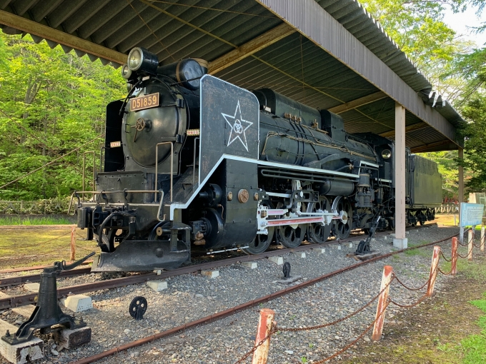 国鉄D51形蒸気機関車 D51 859 遠軽駅 鉄道フォト・写真 by North.ynさん | レイルラボ(RailLab)