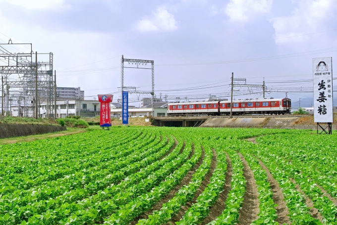 近畿日本鉄道 近鉄1436系電車 伊勢中川駅 鉄道フォト・写真 by VISTAEXさん | レイルラボ(RailLab)