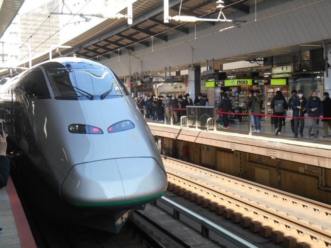 JR東日本 E3系新幹線電車 つばさ E311-2005 東京駅 (JR) 鉄道フォト・写真 by 稲5114さん | レイルラボ(RailLab)