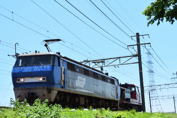 JR貨物EF200形電気機関車 EF200-2 高槻駅 鉄道フォト・写真 by ネットウォーカー鉄道クラブさん | レイルラボ(RailLab)