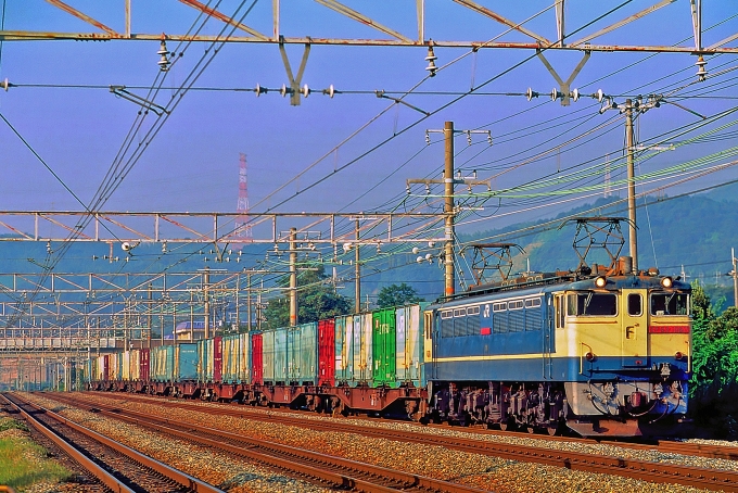 JR貨物 国鉄EF65形電気機関車 EF65 1097 高槻～山崎 鉄道フォト・写真 by 丹波篠山さん | レイルラボ(RailLab)