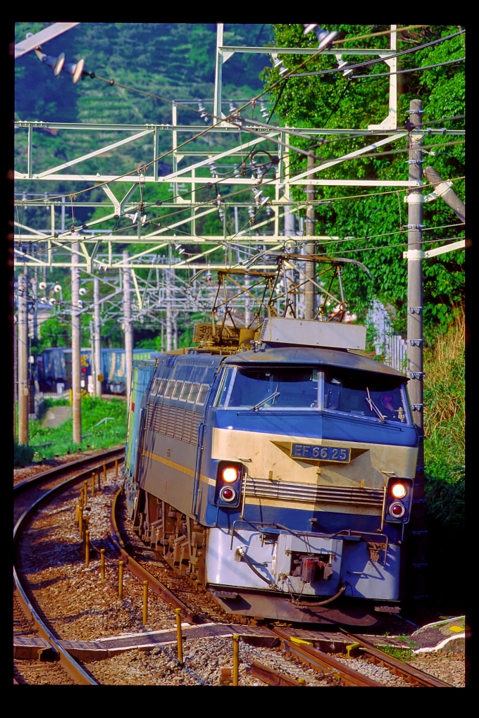 JR貨物 国鉄EF66形電気機関車 EF66 25 根府川駅 鉄道フォト・写真 by 丹波篠山さん | レイルラボ(RailLab)
