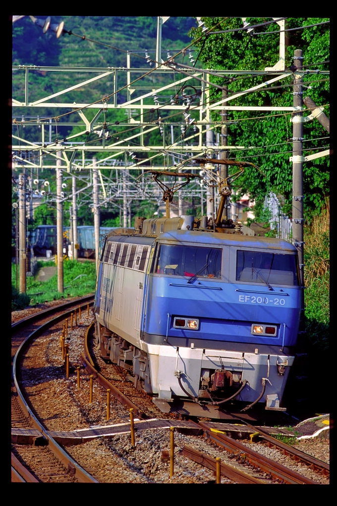 JR貨物EF200形電気機関車 EF200-20 根府川駅 鉄道フォト・写真 by 丹波篠山さん | レイルラボ(RailLab)