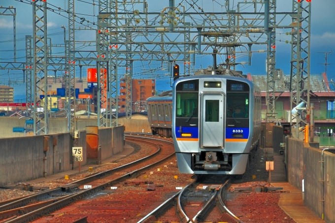 南海電鉄 南海8300系電車 8353 岸和田駅 鉄道フォト・写真 by 丹波篠山さん | レイルラボ(RailLab)