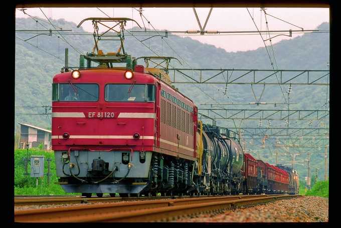 JR貨物 国鉄トキ25000形貨車 EF81 120 新疋田駅 鉄道フォト・写真 by 丹波篠山さん | レイルラボ(RailLab)