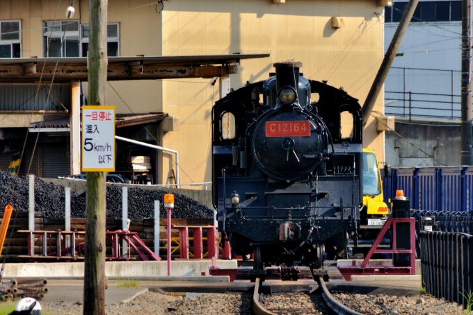 大井川鐵道 国鉄C12形蒸気機関車 C12 164 新金谷駅 鉄道フォト・写真 by 丹波篠山さん | レイルラボ(RailLab)