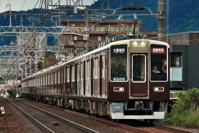 阪急電鉄 阪急8200系電車 8200 岡本駅 (兵庫県) 鉄道フォト・写真 by 丹波篠山さん | レイルラボ(RailLab)