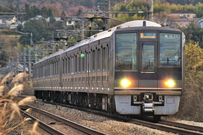 JR西日本207系電車 クハ206-1061 広野駅 (兵庫県) 鉄道フォト・写真 by 丹波篠山さん | レイルラボ(RailLab)