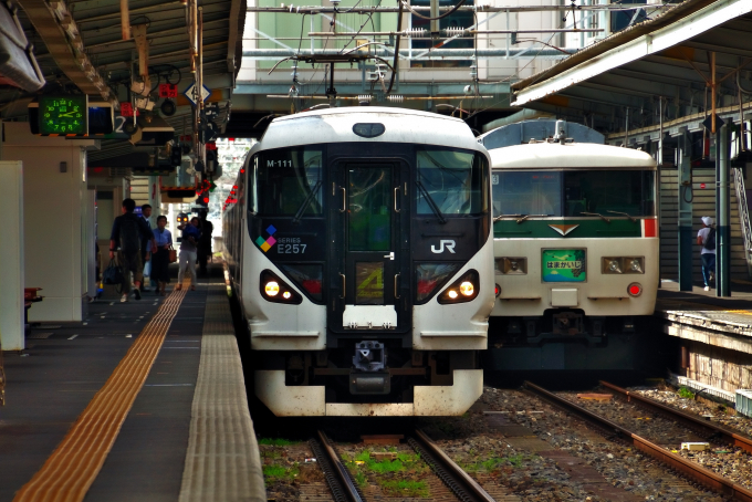 JR東日本E257系電車 あずさ クハE257-111 松本駅 (JR) 鉄道フォト・写真 by 丹波篠山さん | レイルラボ(RailLab)