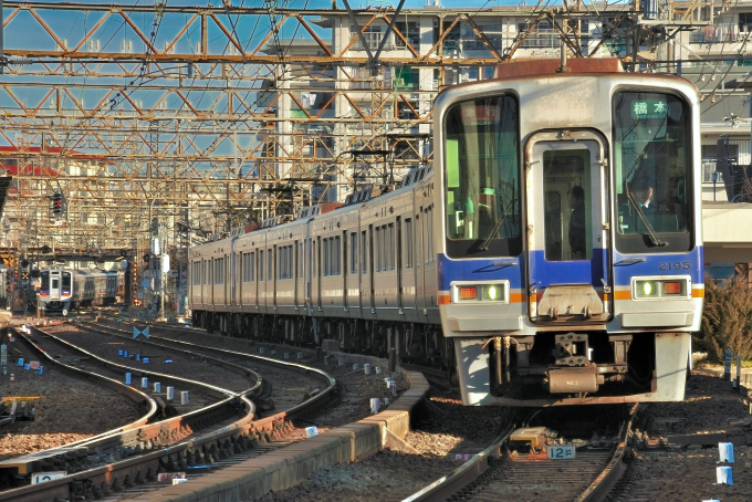 南海電鉄 南海2000系電車 2195 住吉東駅 鉄道フォト・写真 by 丹波篠山さん | レイルラボ(RailLab)