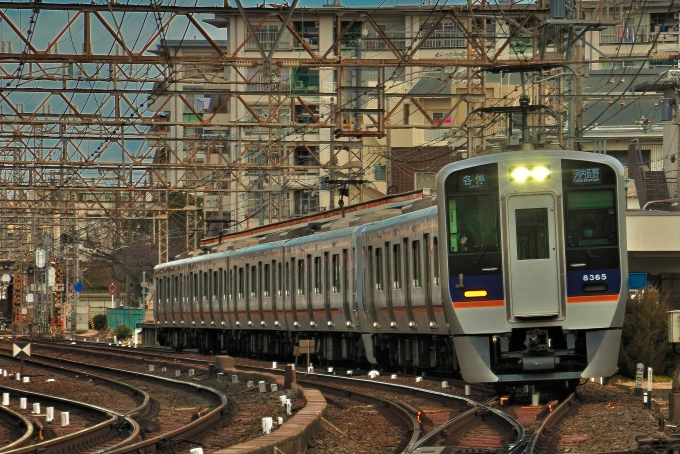 南海電鉄 南海8300系電車 8365 住吉東駅 鉄道フォト・写真 by 丹波篠山さん | レイルラボ(RailLab)