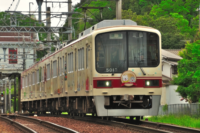 神戸電鉄5000系電車 5013 横山駅 (兵庫県) 鉄道フォト・写真 by 丹波篠山さん | レイルラボ(RailLab)