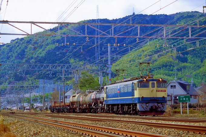 JR貨物 国鉄EF65形電気機関車 EF65 1097 山崎駅 (京都府) 鉄道フォト・写真 by 丹波篠山さん | レイルラボ(RailLab)