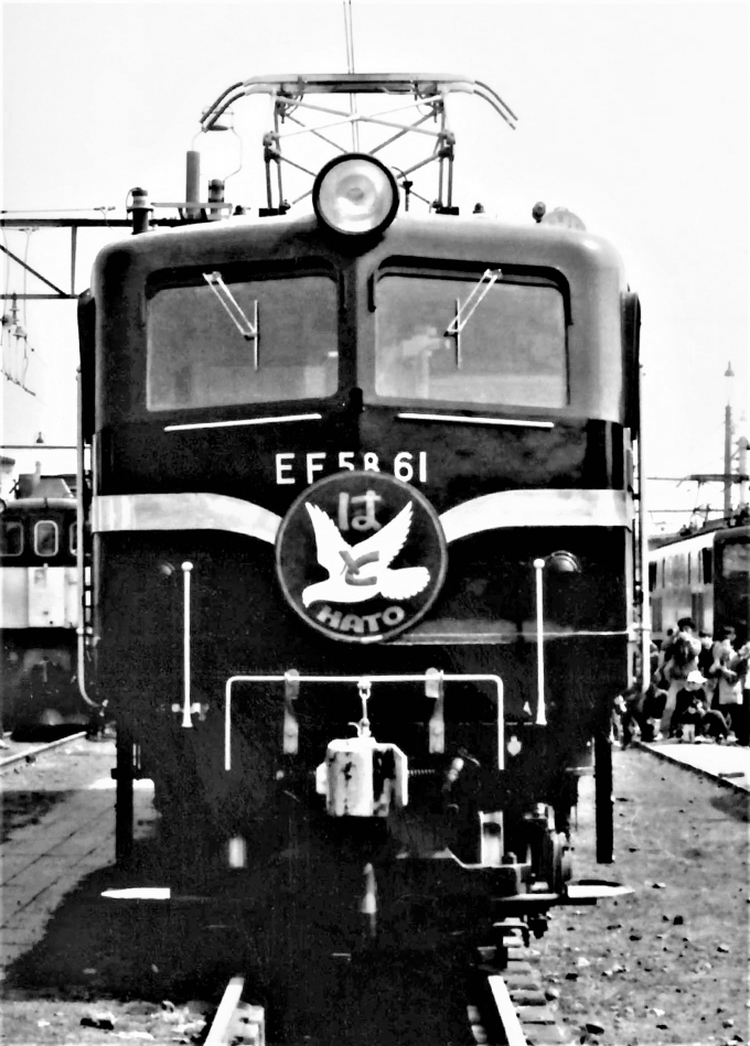 国鉄EF58形電気機関車 EF58 61 高崎第2機関区 鉄道フォト・写真 by 鉄道のお爺さんさん | レイルラボ(RailLab)