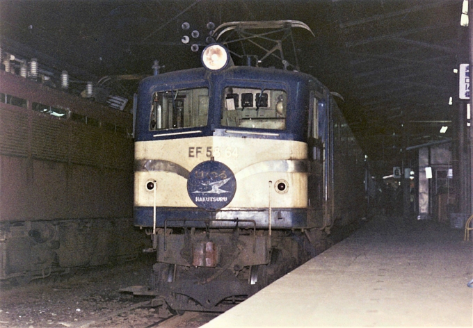 国鉄EF58形電気機関車 EF58 64 上野駅 鉄道フォト・写真 by 鉄道のお爺さんさん | レイルラボ(RailLab)