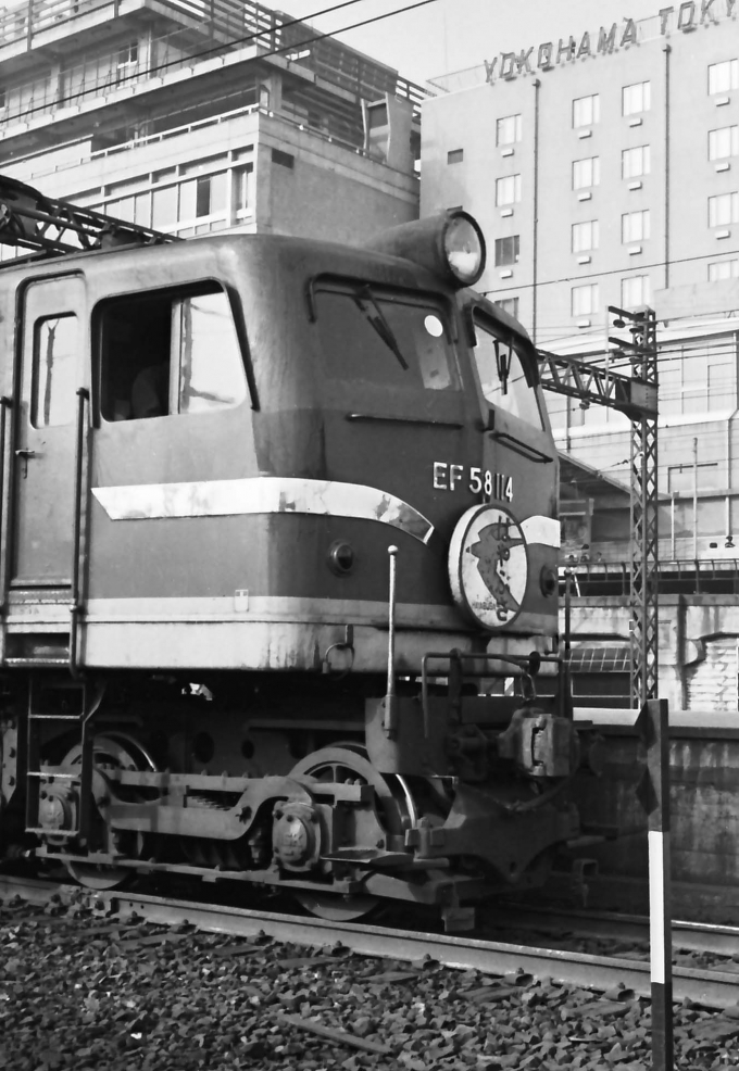 国鉄EF58形電気機関車 EF58 114 横浜駅 鉄道フォト・写真 by 鉄道のお爺さんさん | レイルラボ(RailLab)