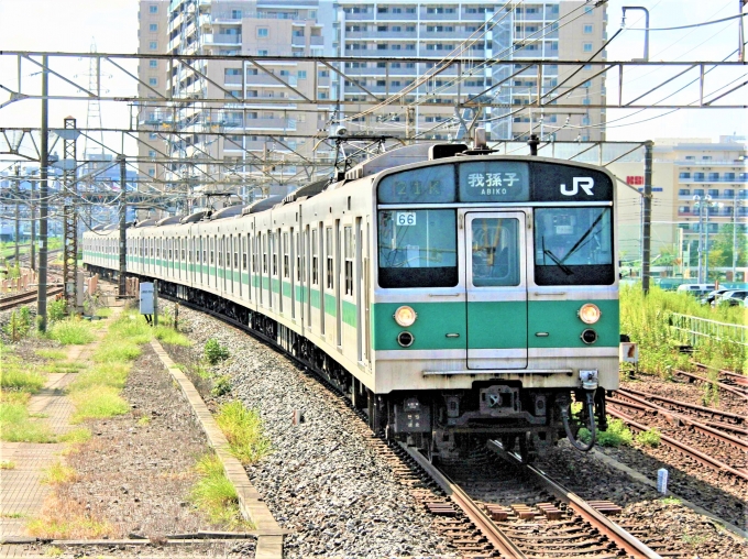 JR東日本 国鉄203系電車 クハ203-10 金町駅 鉄道フォト・写真 by 鉄道のお爺さんさん | レイルラボ(RailLab)