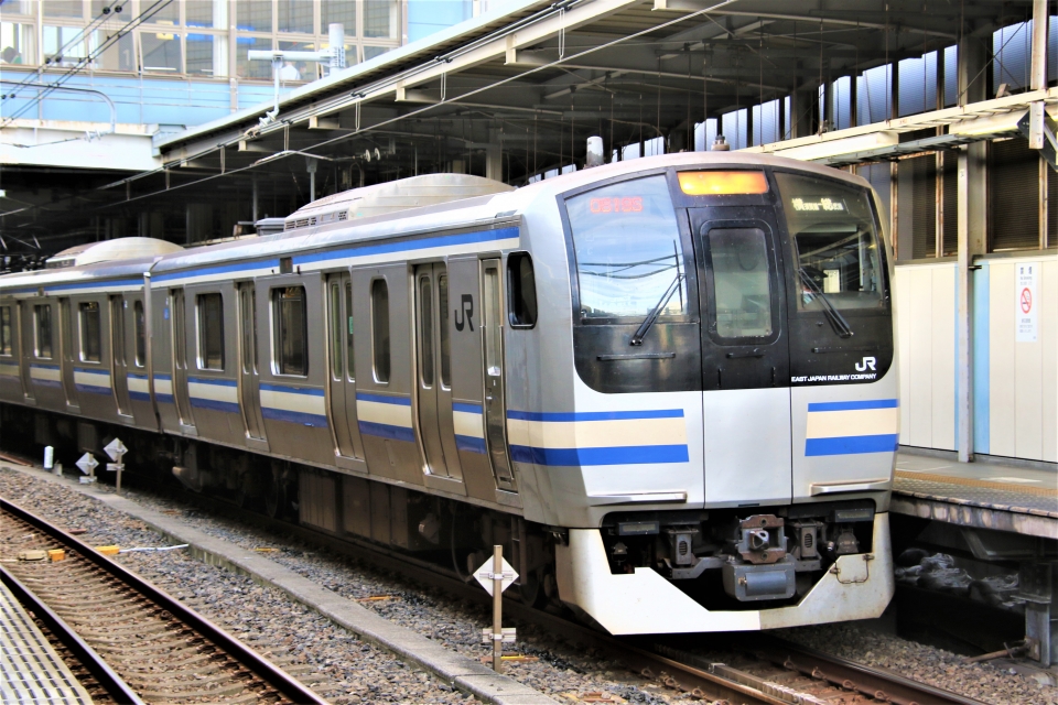 JR東日本E217系電車 クハE216-1001 品川駅 鉄道フォト・写真(拡大) by 鉄道のお爺さんさん | レイルラボ(RailLab)