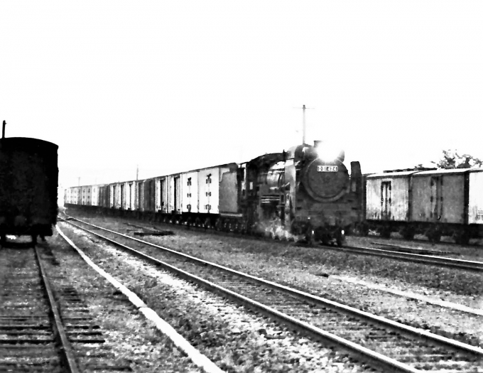 国鉄D51形蒸気機関車 D51 424 広野駅 鉄道フォト・写真 by 鉄道のお爺さんさん | レイルラボ(RailLab)