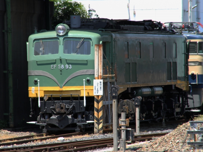 JR東日本 国鉄EF58形電気機関車 EF58 93 大宮駅 鉄道フォト・写真 by 鉄道のお爺さんさん | レイルラボ(RailLab)