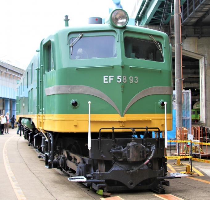 JR東日本 国鉄EF58形電気機関車 EF58 93 大宮総合車両センター 鉄道フォト・写真 by 鉄道のお爺さんさん | レイルラボ(RailLab)