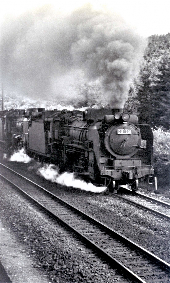 国鉄D51形蒸気機関車 D51 901+D51 御堂駅～奥中山駅間 鉄道フォト・写真 by 鉄道のお爺さんさん | レイルラボ(RailLab)