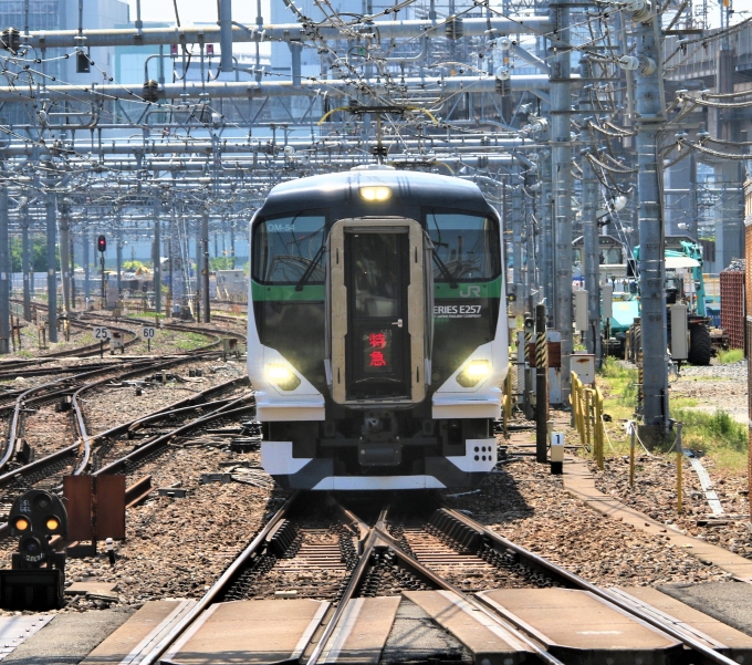 JR東日本E257系電車 クハE256-5511 大宮駅 鉄道フォト・写真 by 鉄道のお爺さんさん | レイルラボ(RailLab)