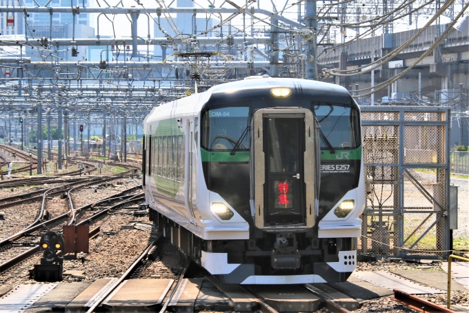 JR東日本E257系電車 クハE256-5511 大宮駅 鉄道フォト・写真 by 鉄道のお爺さんさん | レイルラボ(RailLab)