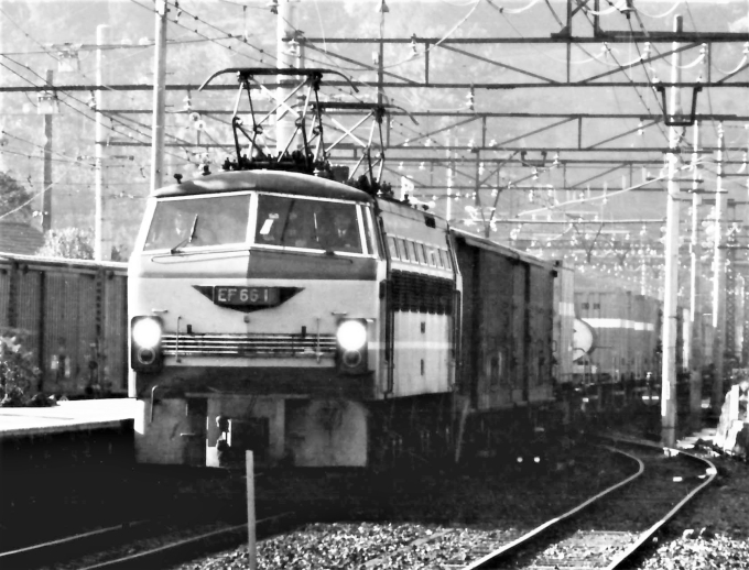 国鉄EF66形電気機関車 EF66 1 根府川駅 鉄道フォト・写真 by 鉄道のお爺さんさん | レイルラボ(RailLab)