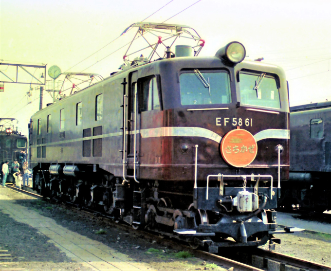 国鉄EF58形電気機関車 EF58 61 高崎第2機関区 鉄道フォト・写真 by 鉄道のお爺さんさん | レイルラボ(RailLab)