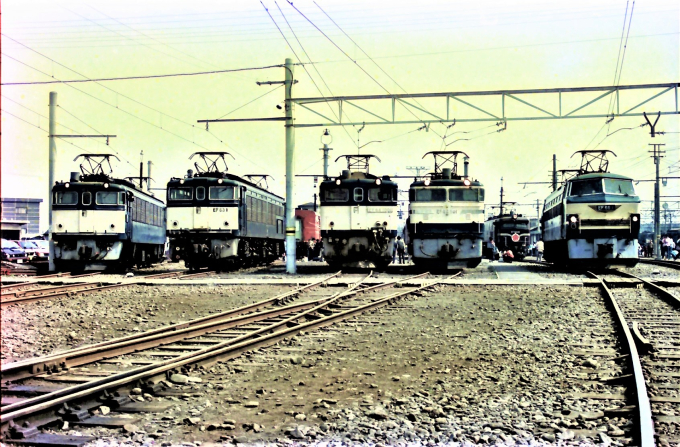 国鉄EF62形電気機関車 EF62・EF63・EF64・EF65・EF66 高崎第2機関区 鉄道フォト・写真 by 鉄道のお爺さんさん ...