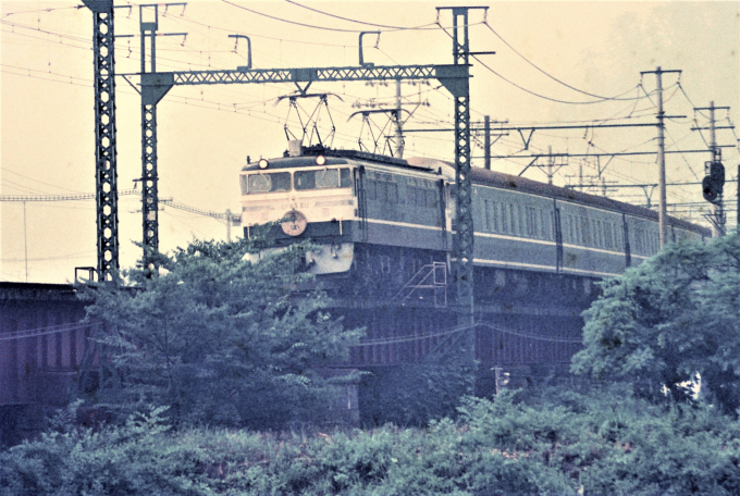 国鉄EF65形電気機関車 EF65 511 早川駅～根府川駅間 鉄道フォト・写真 by 鉄道のお爺さんさん | レイルラボ(RailLab)