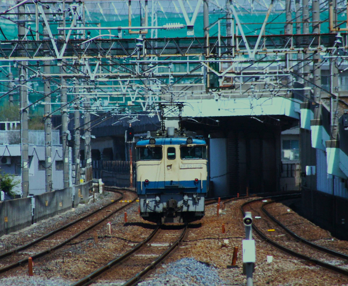 JR東日本 国鉄EF65形電気機関車 EF65 1119 西浦和駅～武蔵浦和駅間 鉄道フォト・写真 by 鉄道のお爺さんさん | レイルラボ(RailLab)