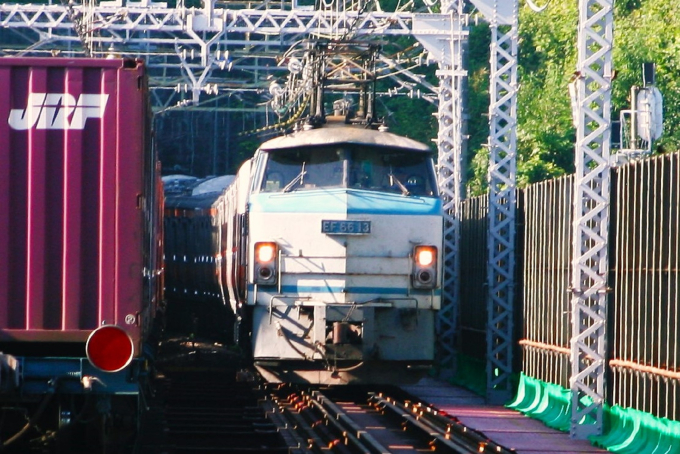 JR貨物 国鉄EF66形電気機関車 EF66 13 根府川駅 鉄道フォト・写真 by 鉄道のお爺さんさん | レイルラボ(RailLab)