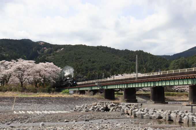 大井川鐵道 国鉄C10形蒸気機関車 Sl南アルプス1号 C10 8 家山駅 鉄道フォト・写真 by おくちちぶ551さん | レイルラボ ...