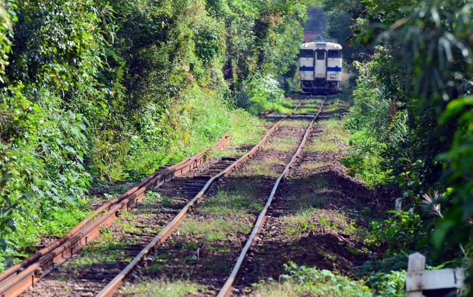 JR九州 国鉄キハ40系気動車 キハ47-9053 頴娃大川駅 鉄道フォト・写真 by シーホース21さん | レイルラボ(RailLab)