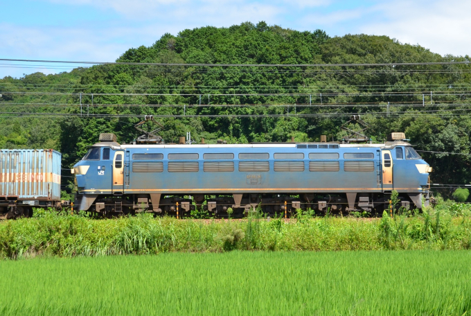 JR貨物 国鉄EF66形電気機関車 EF66-36 有年駅 鉄道フォト・写真 by シーホース21さん | レイルラボ(RailLab)
