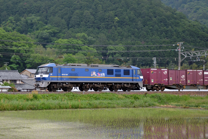 JR貨物EF210形電気機関車 EF210-358 能登川駅 鉄道フォト・写真 by シーホース21さん | レイルラボ(RailLab)