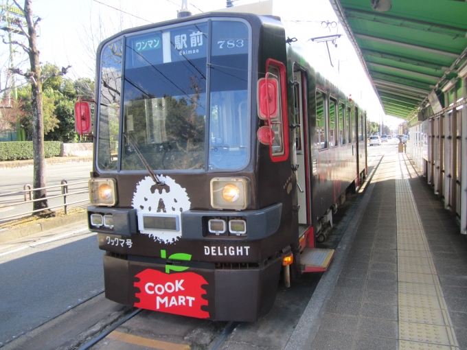 豊橋鉄道モ780形電車 783 運動公園前停留場 (愛知県) 鉄道フォト・写真 by 城鉄本線☆日本旅さん | レイルラボ(RailLab)