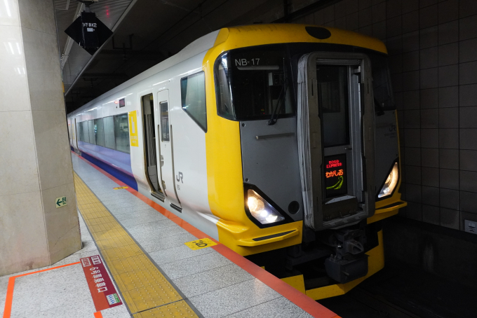 JR東日本E257系電車 わかしお クハE257-517 東京駅 (JR) 鉄道フォト・写真 by 城鉄本線☆日本旅さん | レイルラボ ...