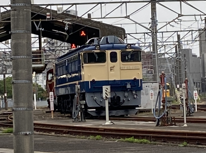 JR東日本 国鉄EF65形電気機関車 EF65 1102 尾久車両センター 鉄道フォト・写真 by けんさん | レイルラボ(RailLab)