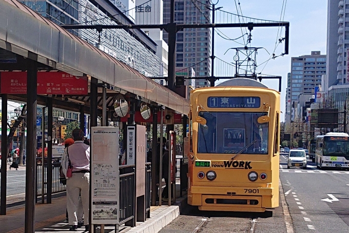 岡山電気軌道7900形電車 7901 岡山駅前停留場 鉄道フォト・写真 by タケぼーさん | レイルラボ(RailLab)