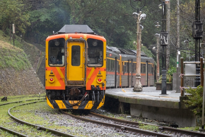 台湾鉄路管理局 DR1000型気動車 菁桐駅 鉄道フォト・写真 by こめさん | レイルラボ(RailLab)