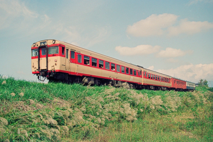 JR東日本 国鉄キハ58系気動車 キハ58 643 北中込駅 鉄道フォト・写真 by こめさん | レイルラボ(RailLab)