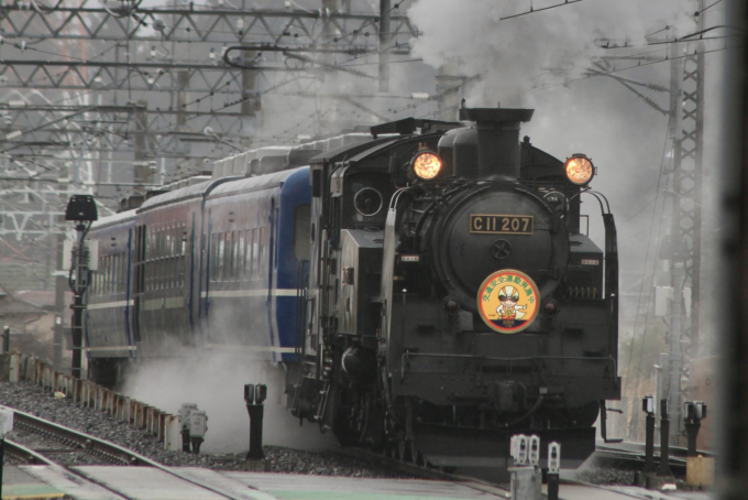 東武鉄道 国鉄C11形蒸気機関車 SL大樹 C11 207 下今市駅 鉄道フォト・写真 by YHMさん | レイルラボ(RailLab)