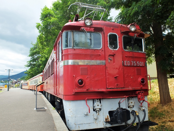 国鉄ED75形電気機関車 ED75-501 手宮駅 鉄道フォト・写真 by J MAYさん | レイルラボ(RailLab)