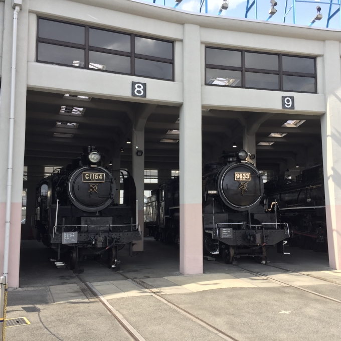 国鉄C11形蒸気機関車 C11 64 京都駅 (JR) 鉄道フォト・写真 by Aץameさん | レイルラボ(RailLab)