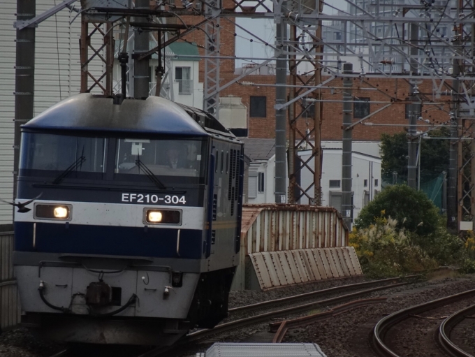 JR貨物EF210形電気機関車 EF210-304 八丁畷駅 (JR) 鉄道フォト・写真 by 浜五井の撮影記録さん | レイルラボ(RailLab)