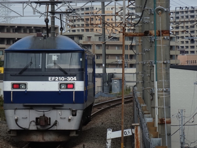 JR貨物EF210形電気機関車 EF210-304 八丁畷駅 (JR) 鉄道フォト・写真 by 浜五井の撮影記録さん | レイルラボ(RailLab)